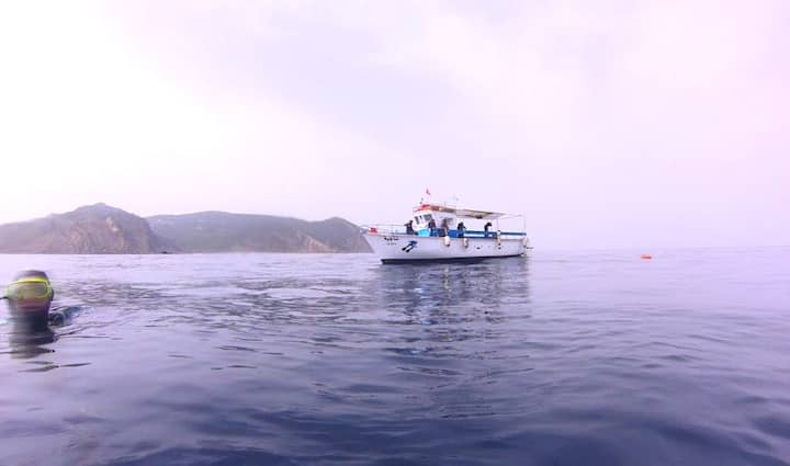 #4 Diving Trip - Tabarka - Tabarka