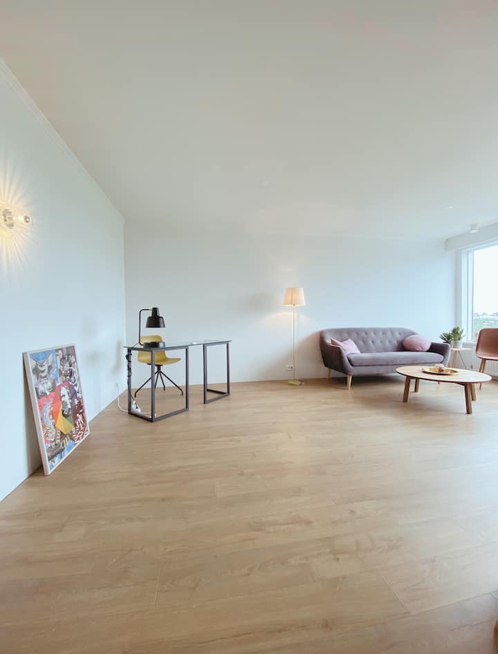 Sleek And Bright With A Nice View - Reykjavik