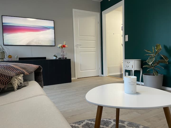 Central Apartment With Terrace - Oslo