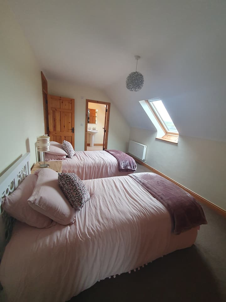Riverside House, Twin Room With Ensuite - County Clare