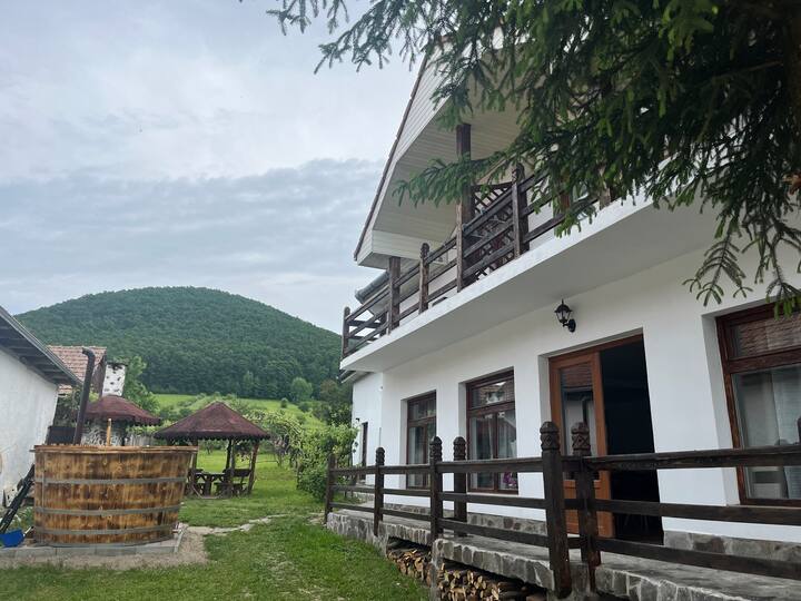 Casa Ariana , Loc De Poveste ! - Rimetea