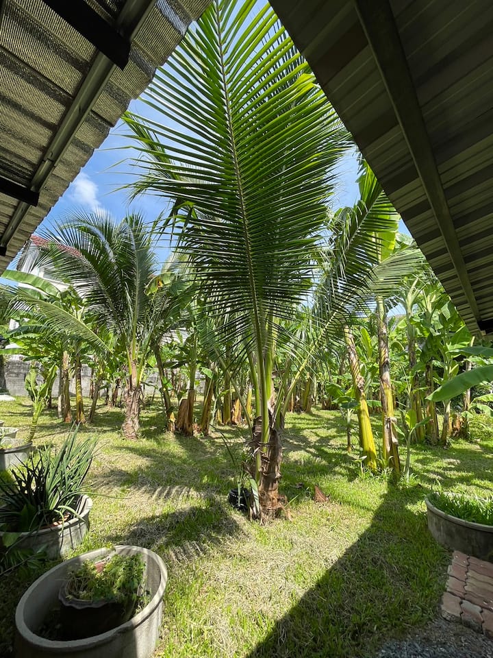 Banana Tree House/garden Apt#3 Near Airport, Bts - Bang Khen