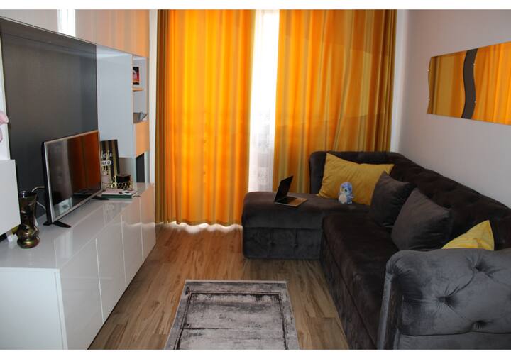 Visoianu Luxury 2 Rooms Ab House - Iași