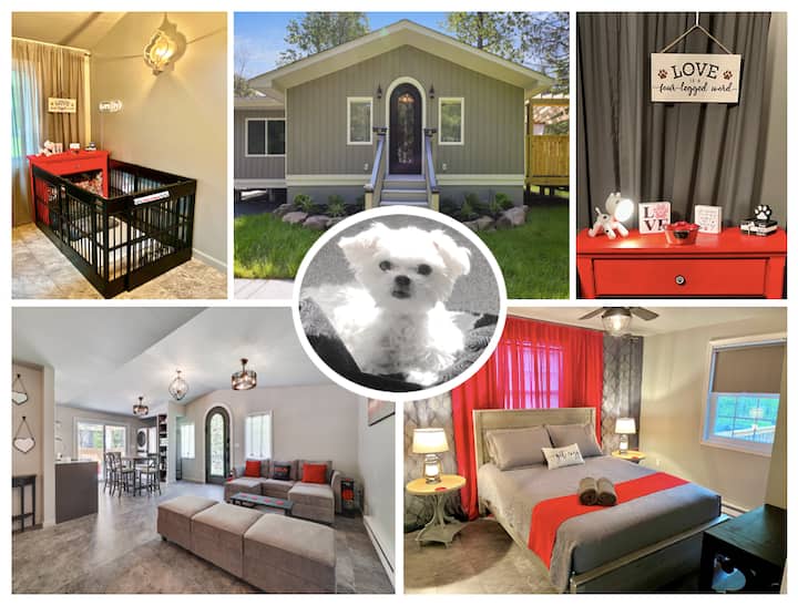 Dog Friendly - Solin Casita In The Poconos - Mount Pocono, PA