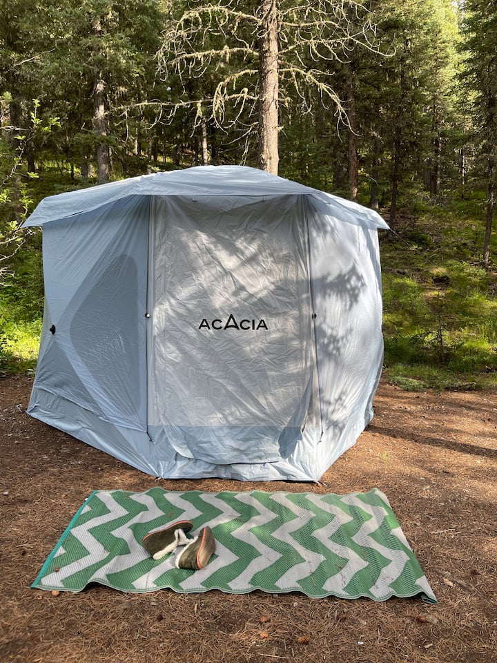 Camping Experience In Newly Released Space Acacia - Bozeman, MT