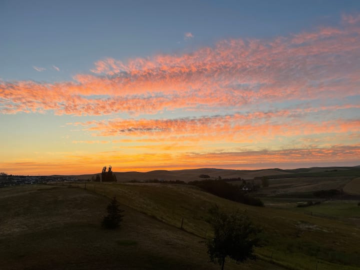 Hilltop Haven - Pullman, WA