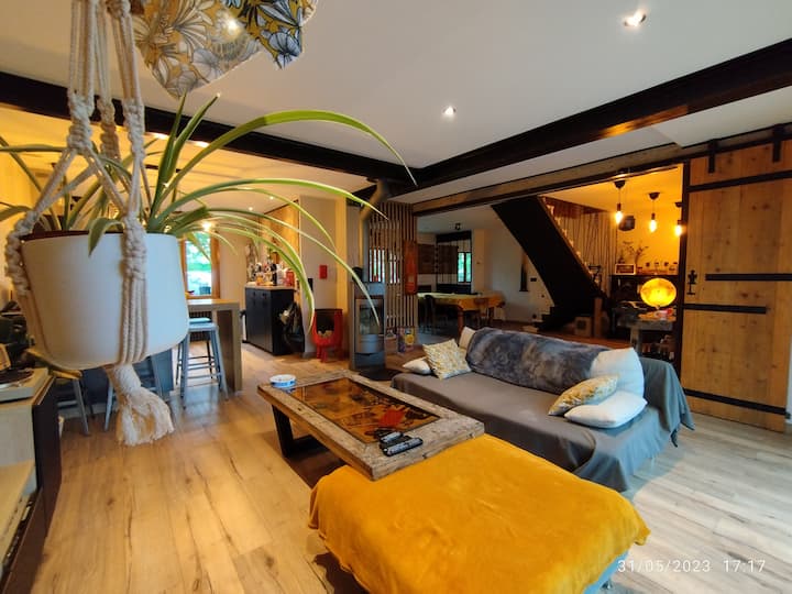 Chambre N°1 Style Fleurie Bleu - Albi