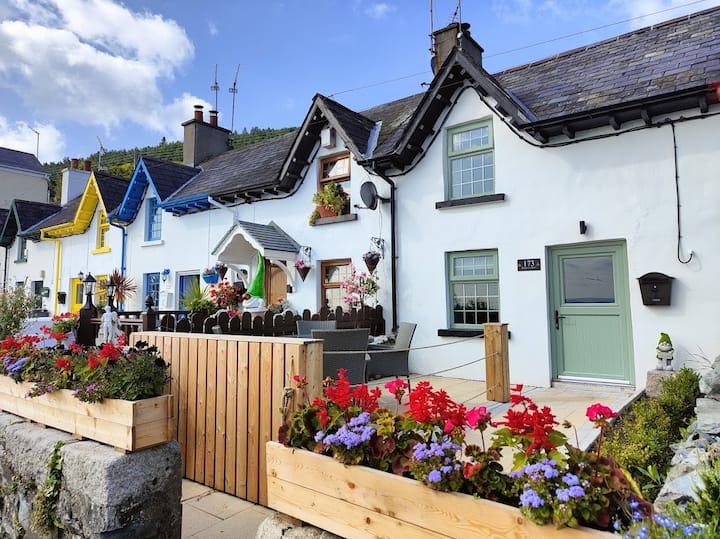 No.173 'Widows Row' - County Down