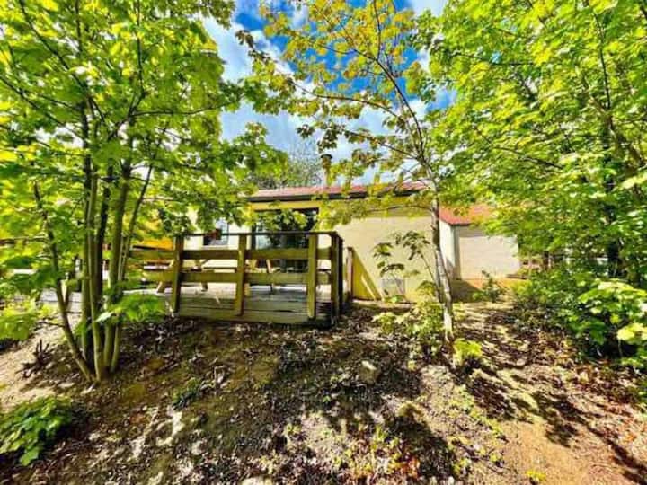 Bungalow De Marion - Virton