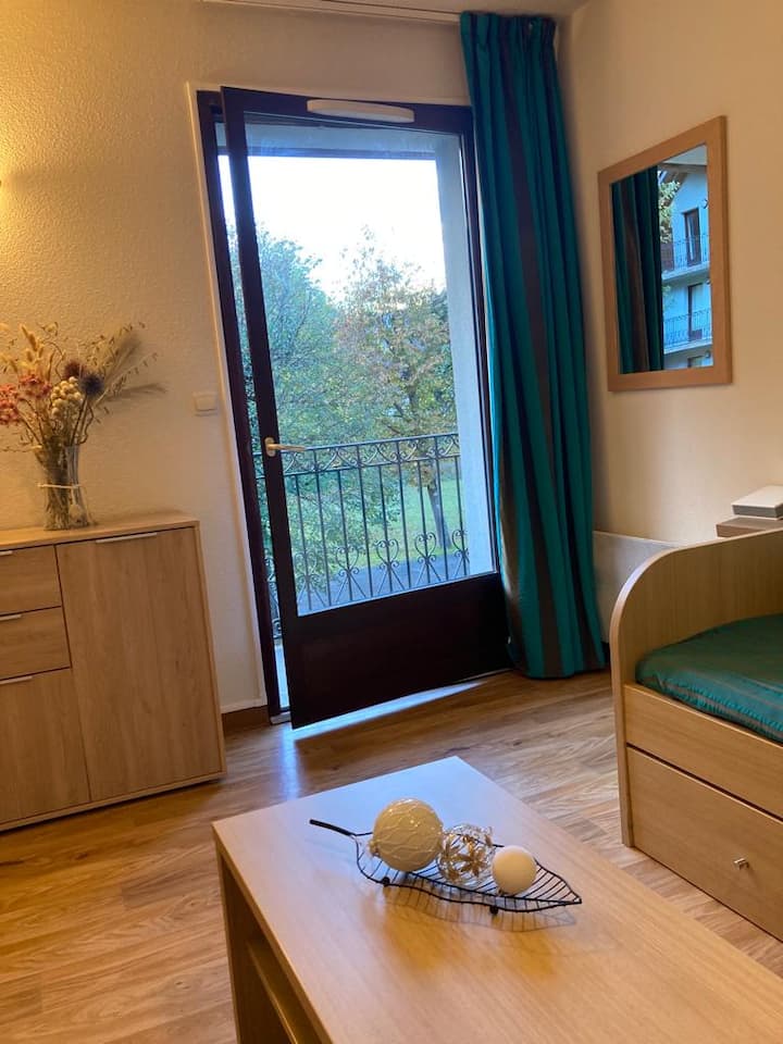 Appartement T2 Au Cœur De Luchon - Bagnères-de-Luchon