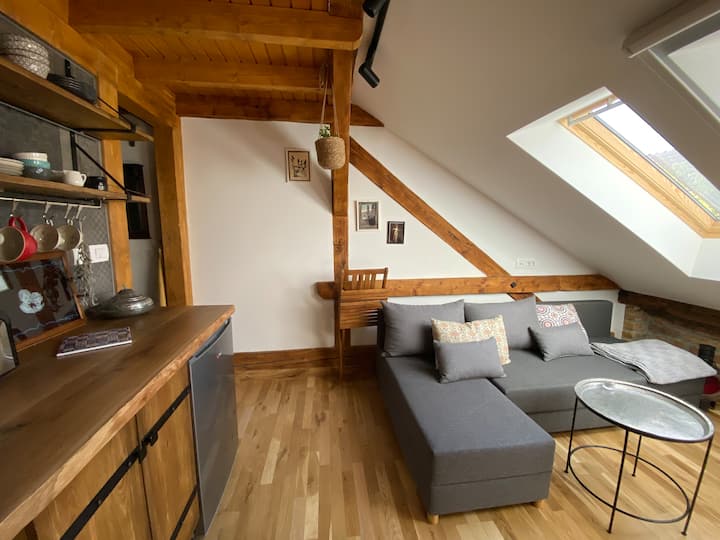 Atifa Apartment - Sarajevo
