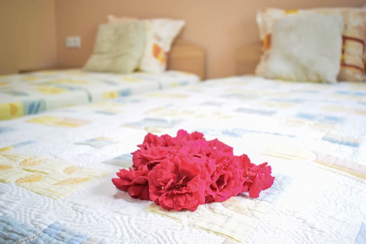 Студио "Люляк 21" - Pavel Banya