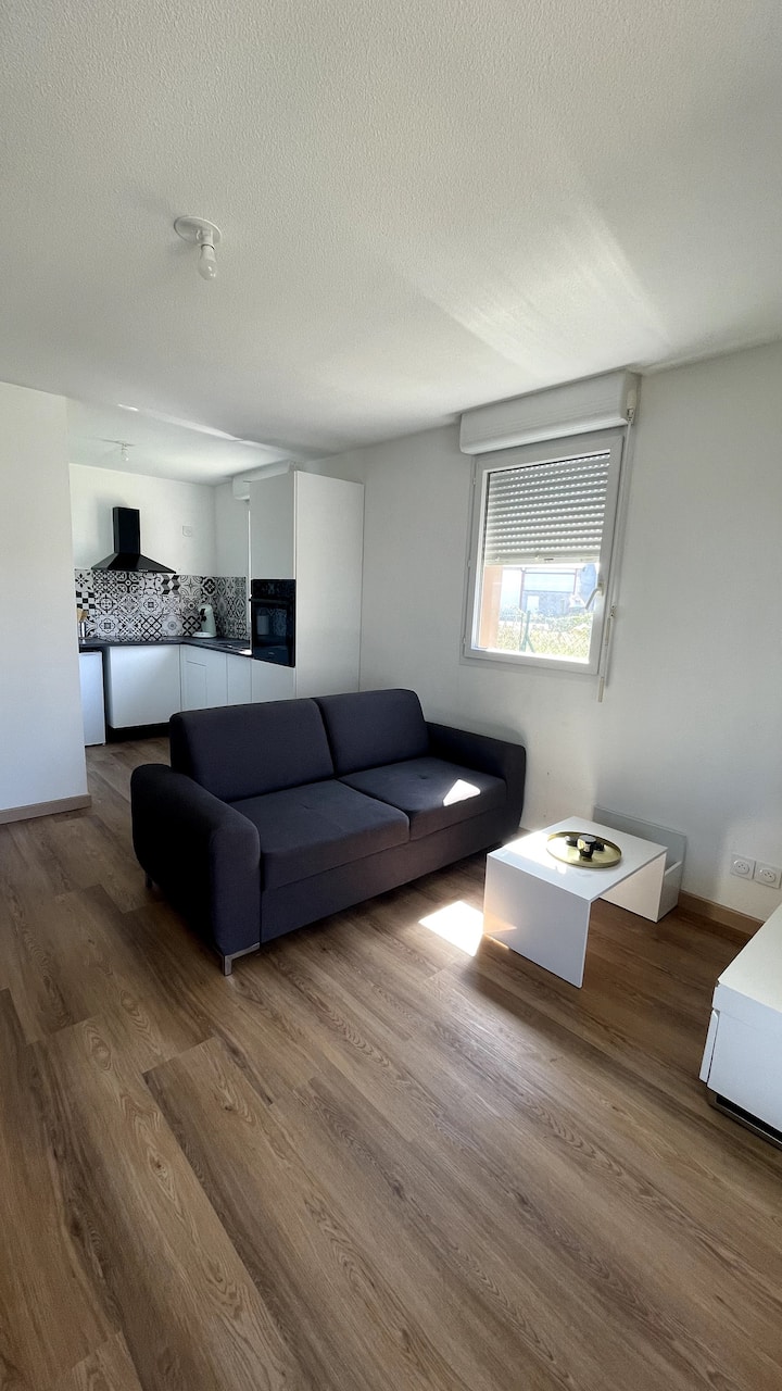 Appartement Entièrement Rénové Avec Piscine - Mirepoix
