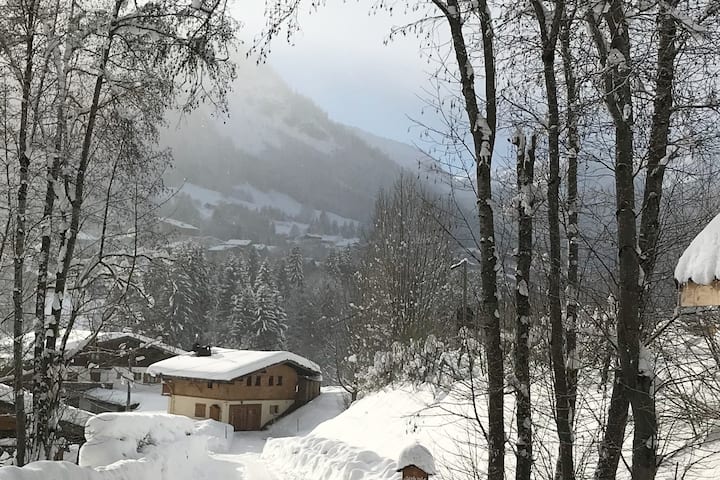 10 Min Easy Walk To Centre Stunning View Sun Decks - Megève