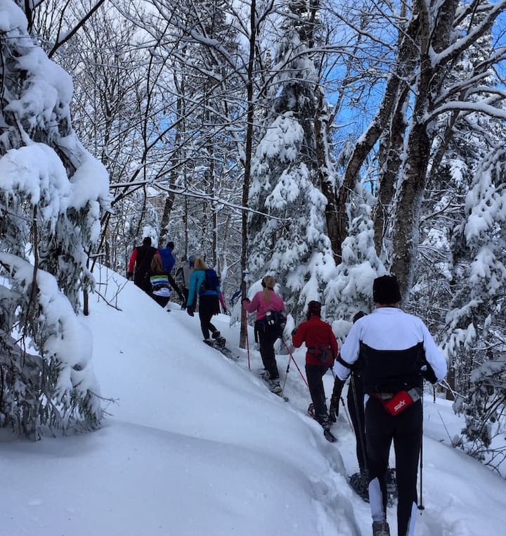 Blanc 12- Les Chalets Alpins - Stoneham-et-Tewkesbury