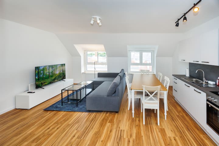 Penthouse With Terrace - Vienne