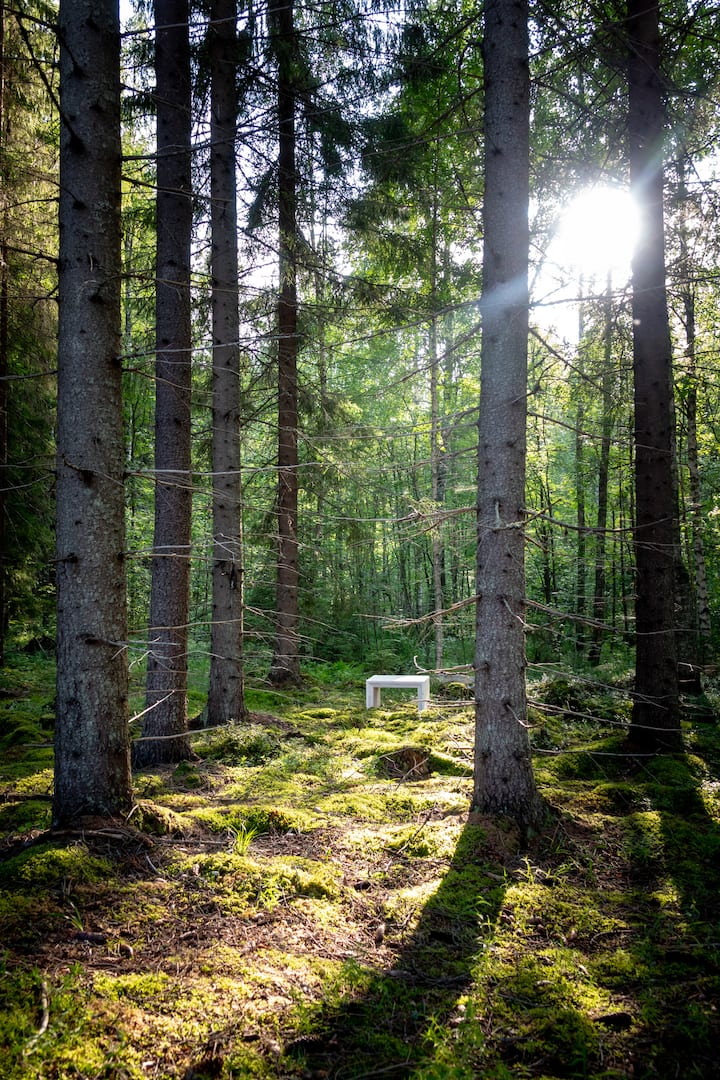 Usva House Private Art & Design Villa - Kontiolahti