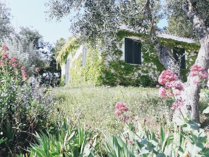 Vieste Villa Serena - Vieste