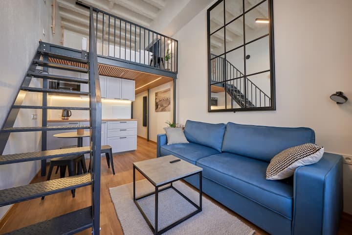 Queen Barbora Central Lofts - Kaunas
