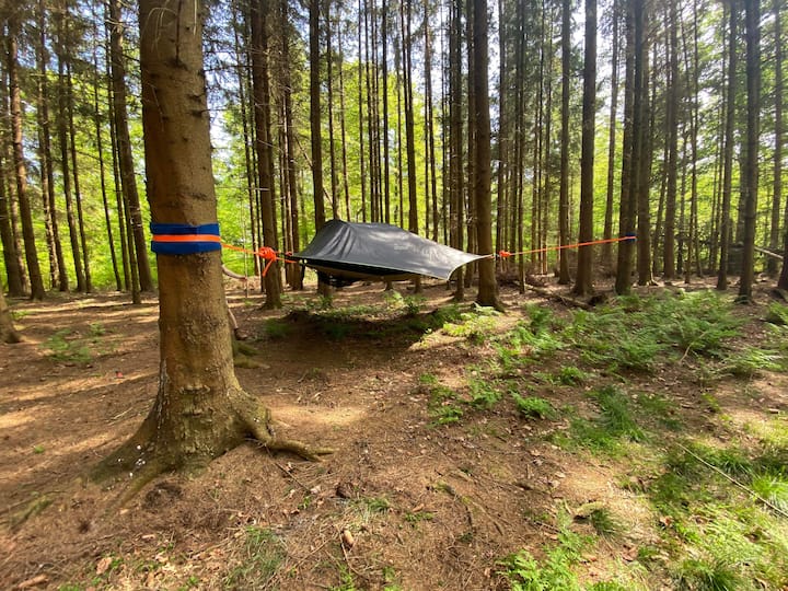 Beautiful Tentsile Treetoptent - Kolding