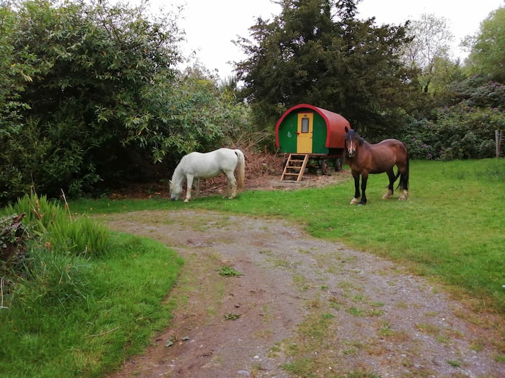 Gandalphs Gypsy Caravan - Kenmare
