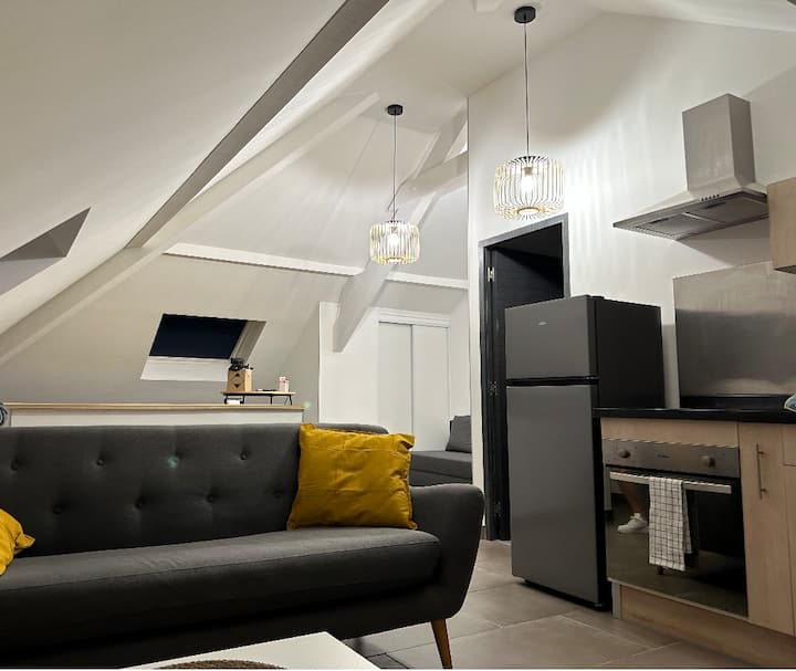 Grand Studio Duplex 04 - Annecy