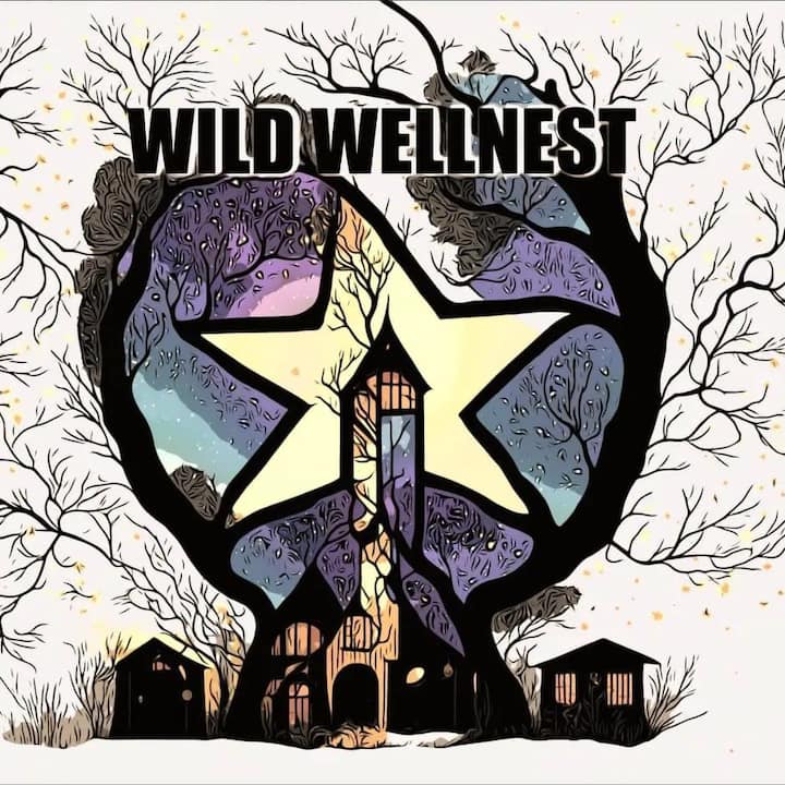 Wild Wellnest Wildemann - Sonne Mond & Sterne Haus - Seesen