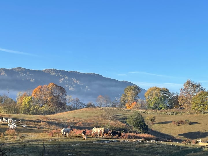 Family Farm Guest House 10 Minutes From Big Stone! - Natural Tunnel State Park, Duffield