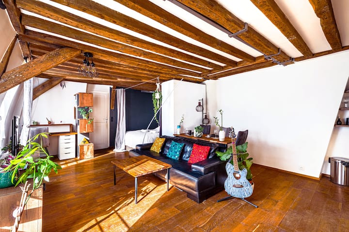 Grand Studio Cosy Et Plein De Charme - Paris Gare de Lyon