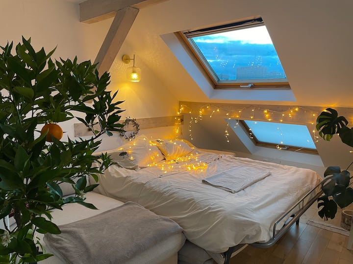 Charmant Duplex Tout Confort Et Central - Strasbourg