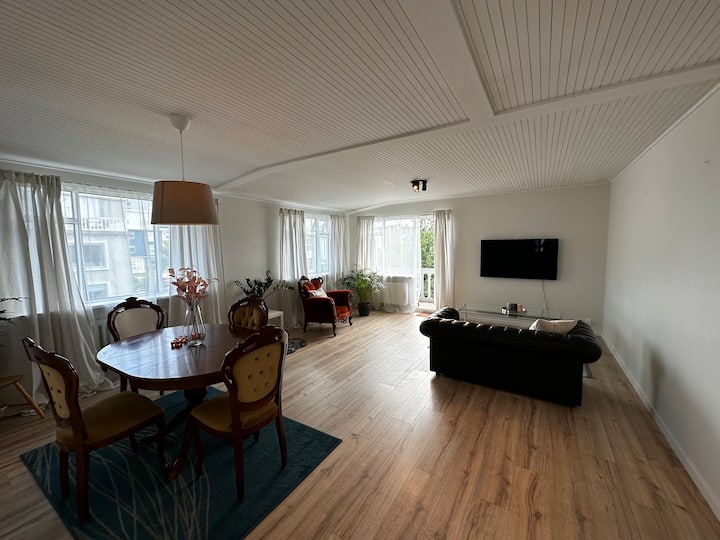 Bright Penthouse In A Quiet Area - Reykjavik