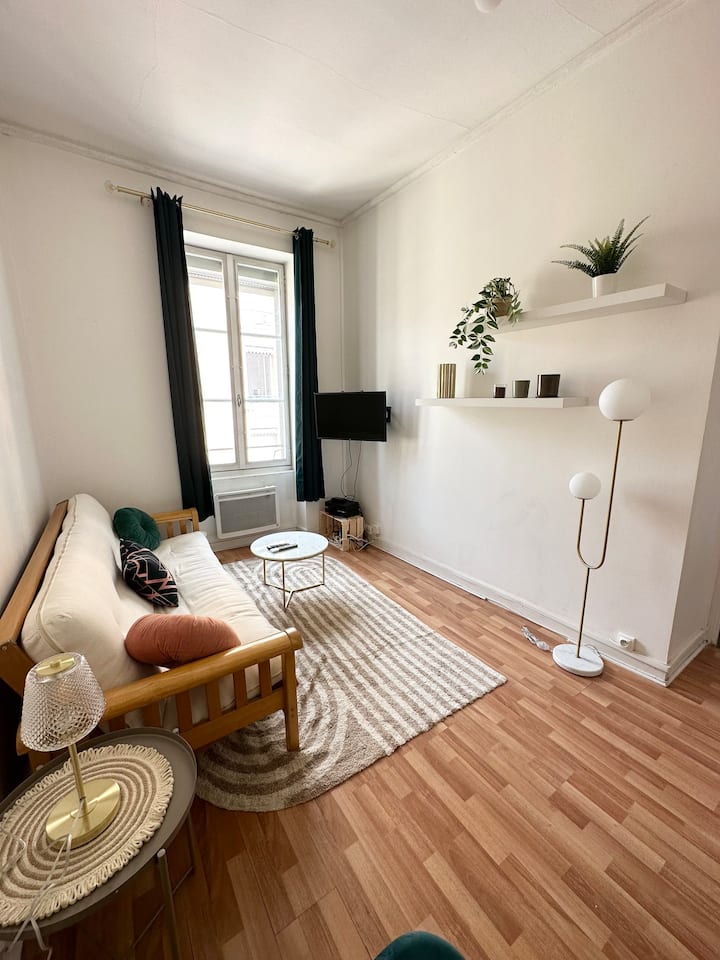L’alsace Charme De L'ancien De 35 M2 Prox Garetram - Villeurbanne