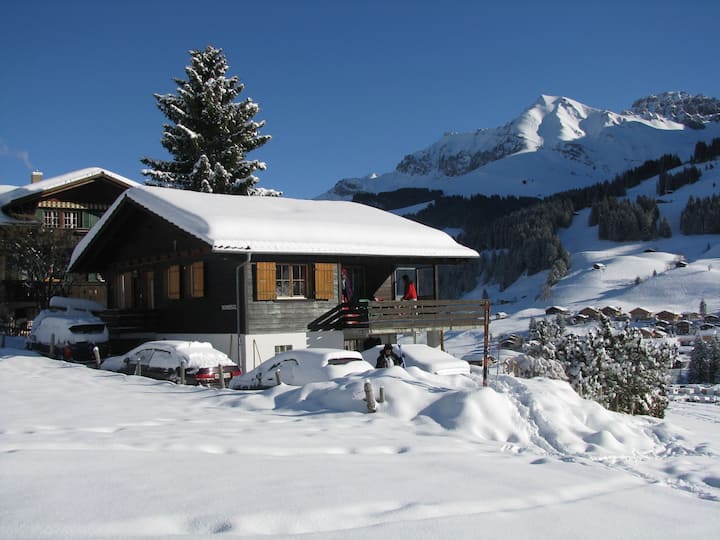 Kleine Ferienhütte - Adelboden