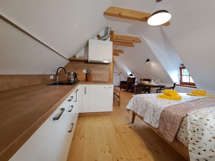 Pětidomí 88 - Rožmberská - Podkrovní Studio 5 - Český Krumlov