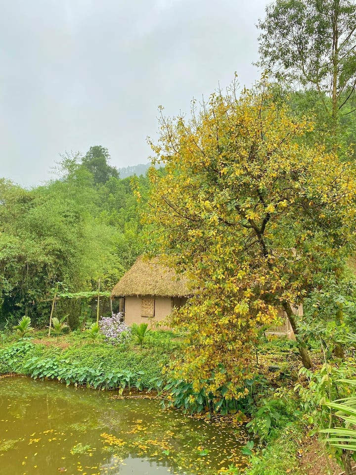 Rice Field & Pond View, Cottage, Breakfast Free - Sông Công