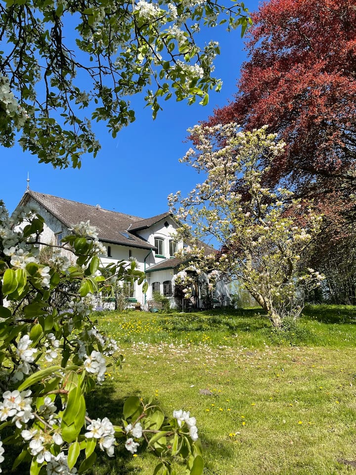 Ferienwohnung Moderswarf Ost - Friedrichstadt