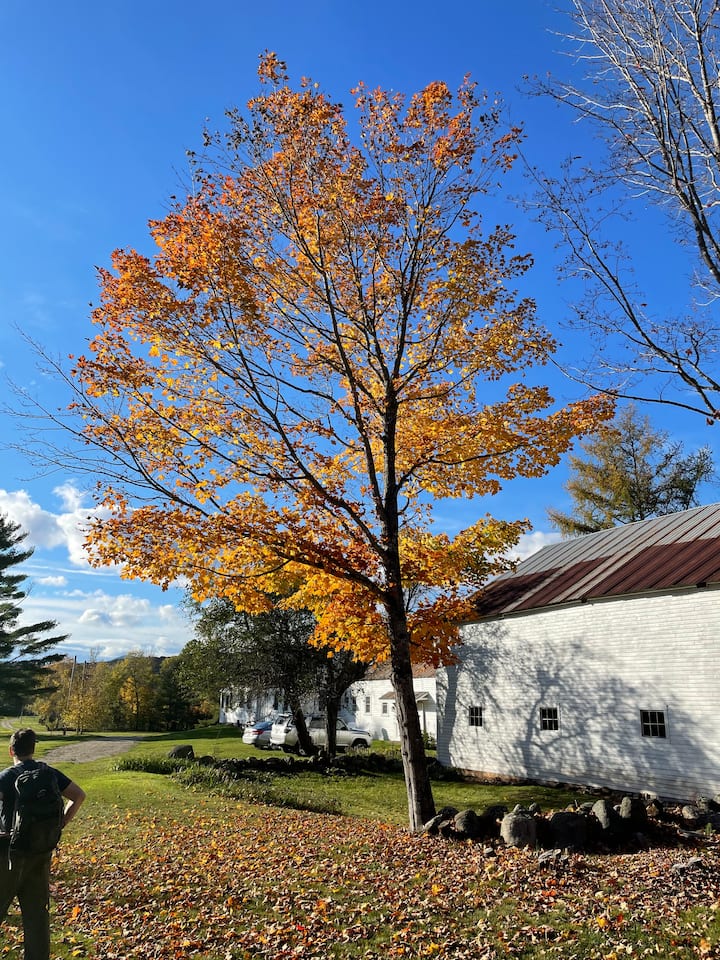 Gorgeous Mountain Valley Charm - Waterville Valley, NH