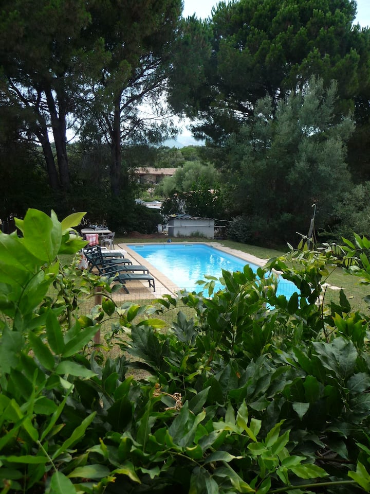 Maison De Vacances à Pinarello - Zonza