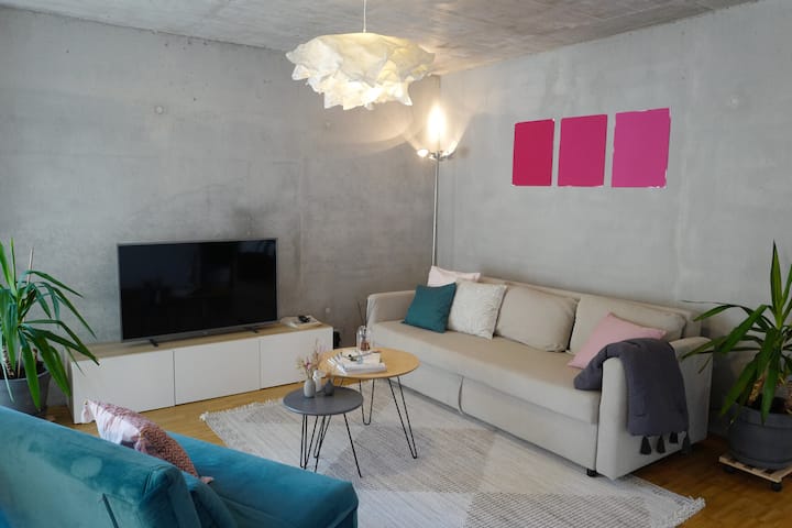 Loft Charmant Dans Les Vignes Avec Vue Imprenable - Aigle