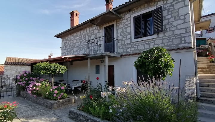 Viktoria Garden Apartman - Vrsar