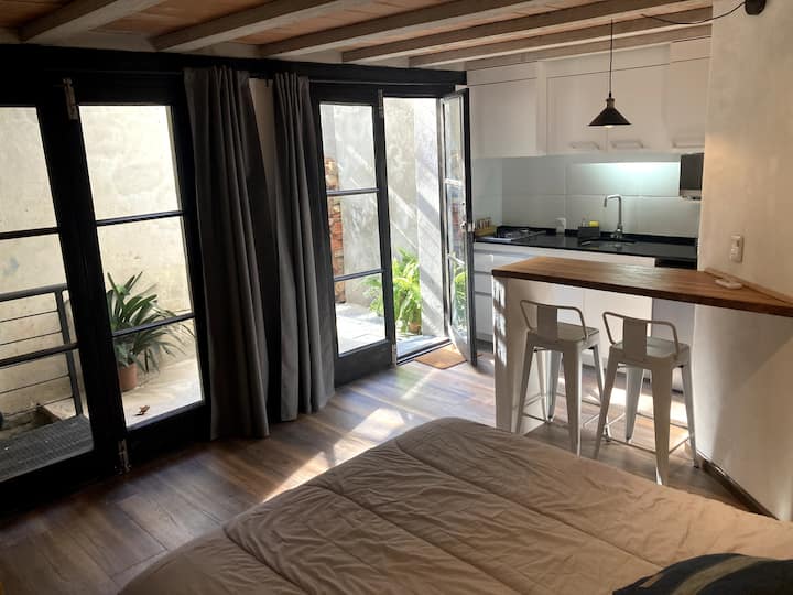 Mono Ambiente Barrio Sur - Montevideo