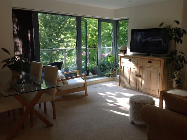 Large Modern Room Near Seafront - Sussex