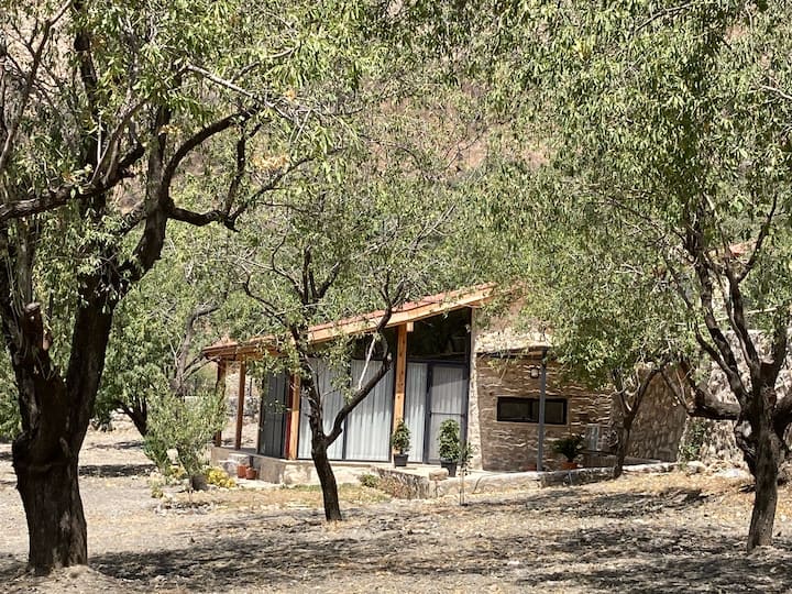 Datça Mesudiye'de Müstakil  Payam Taşev - Mesudiye