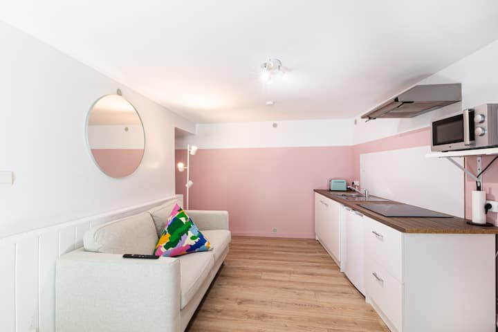 La Vie En Rose / Appartement Cosy / Centre Ville - Auch