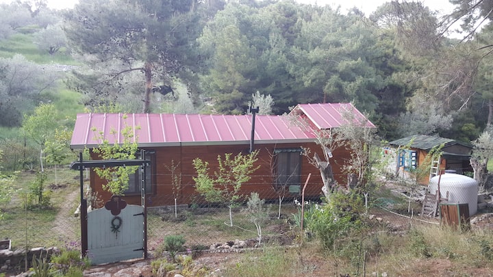 Karaburun Boyabağ Koyunda Kiralık Ev. - Karaburun