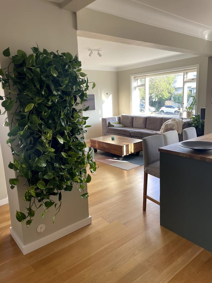 Open And Bright Apartment. - Islândia