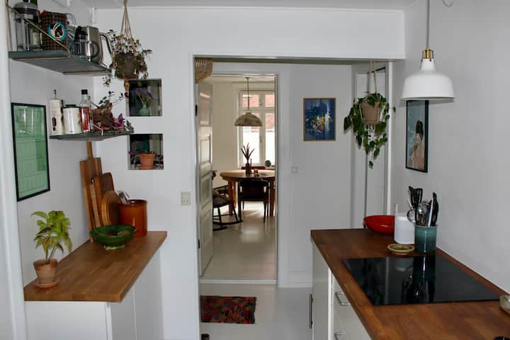 Cozy Apartment In Copenhagen - Copenhagen
