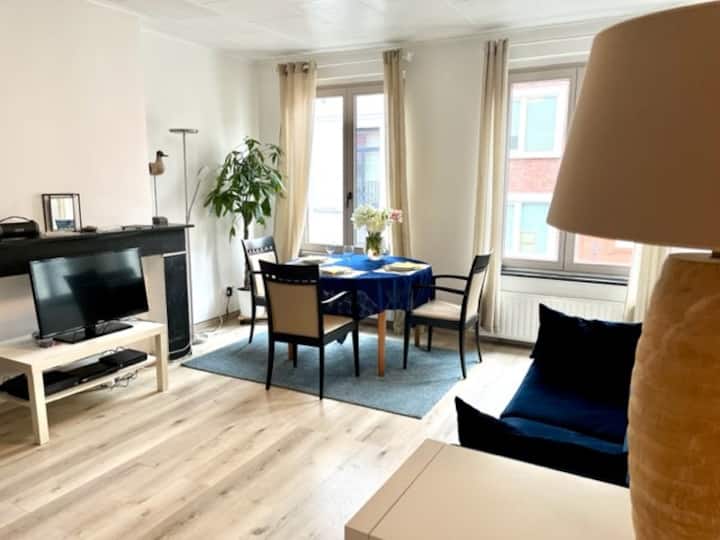 Appart Cosy à 5 Mn De Flagey - Regione Bruxelles, Belgio