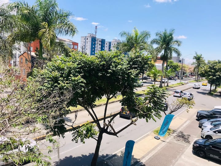 Sobre La Vía Principal / Pereira - Pereira