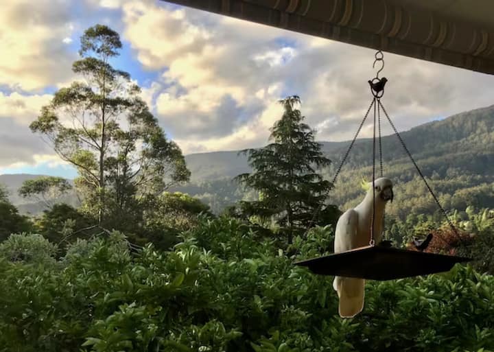 Mountain View Lodge, Warburton - Warburton